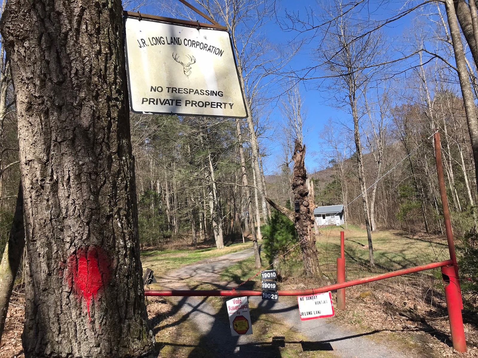 Wandering Virginia: Lynn Trail, GWNF