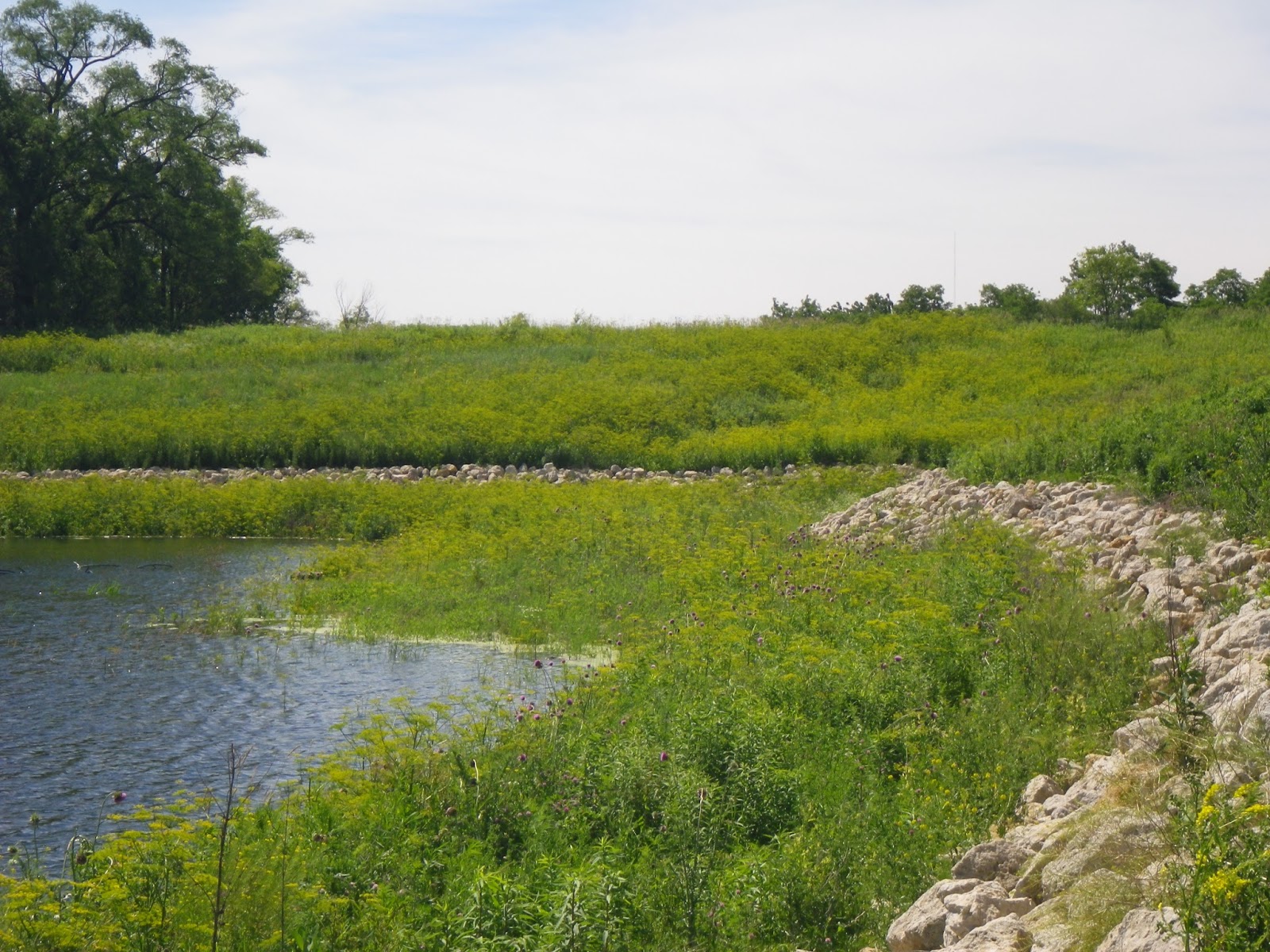 The Lost Grove Lake Mapping Project