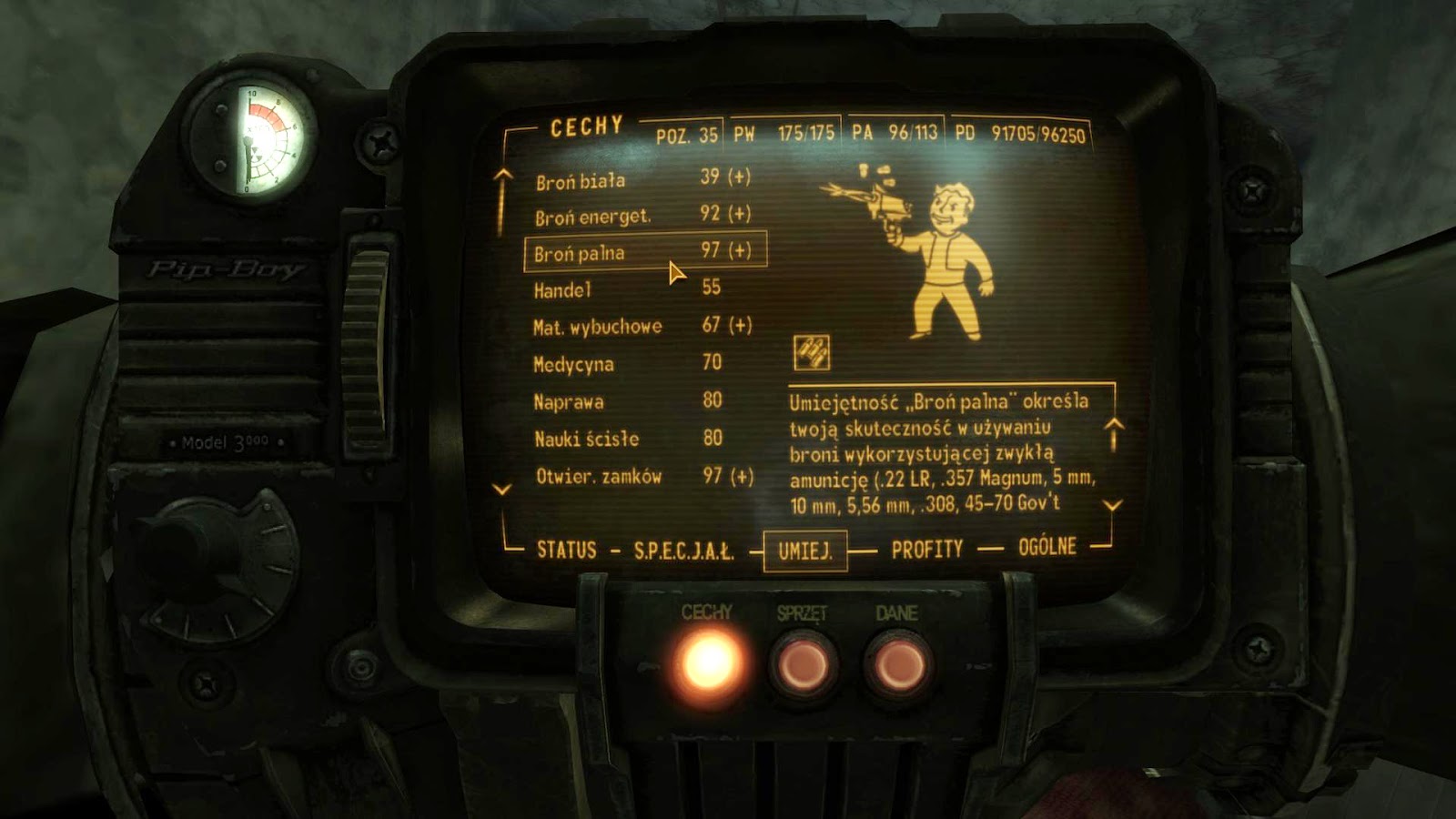 Tarakum Photography: Fallout New Vegas Flashbang BUG (Lonesome Road ...