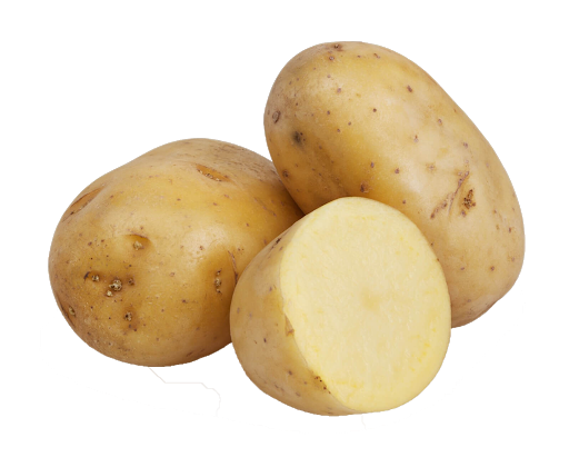 Batata inglesa | Potato