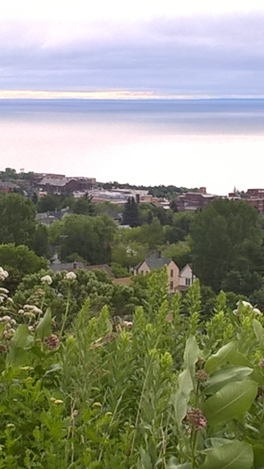 Lake Superior Rift Change: The Keweenawan Rift Seismic Activity: August ...