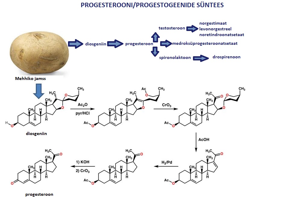 päikesetoit: Naise tervis vol 50 - progestogeenid