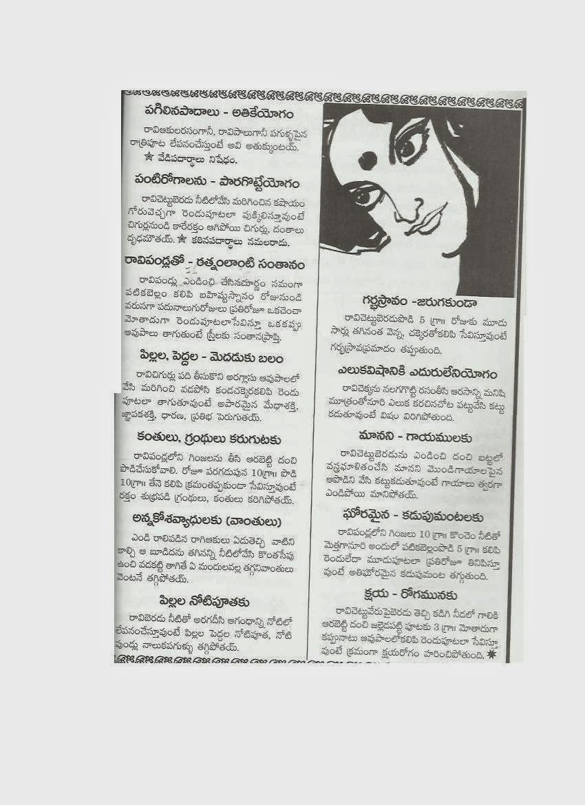 AYURVEDAM - ఆయుర్వేదం: RAVI CHETTU ( PIPAL TREE ) - AYURVEDAM