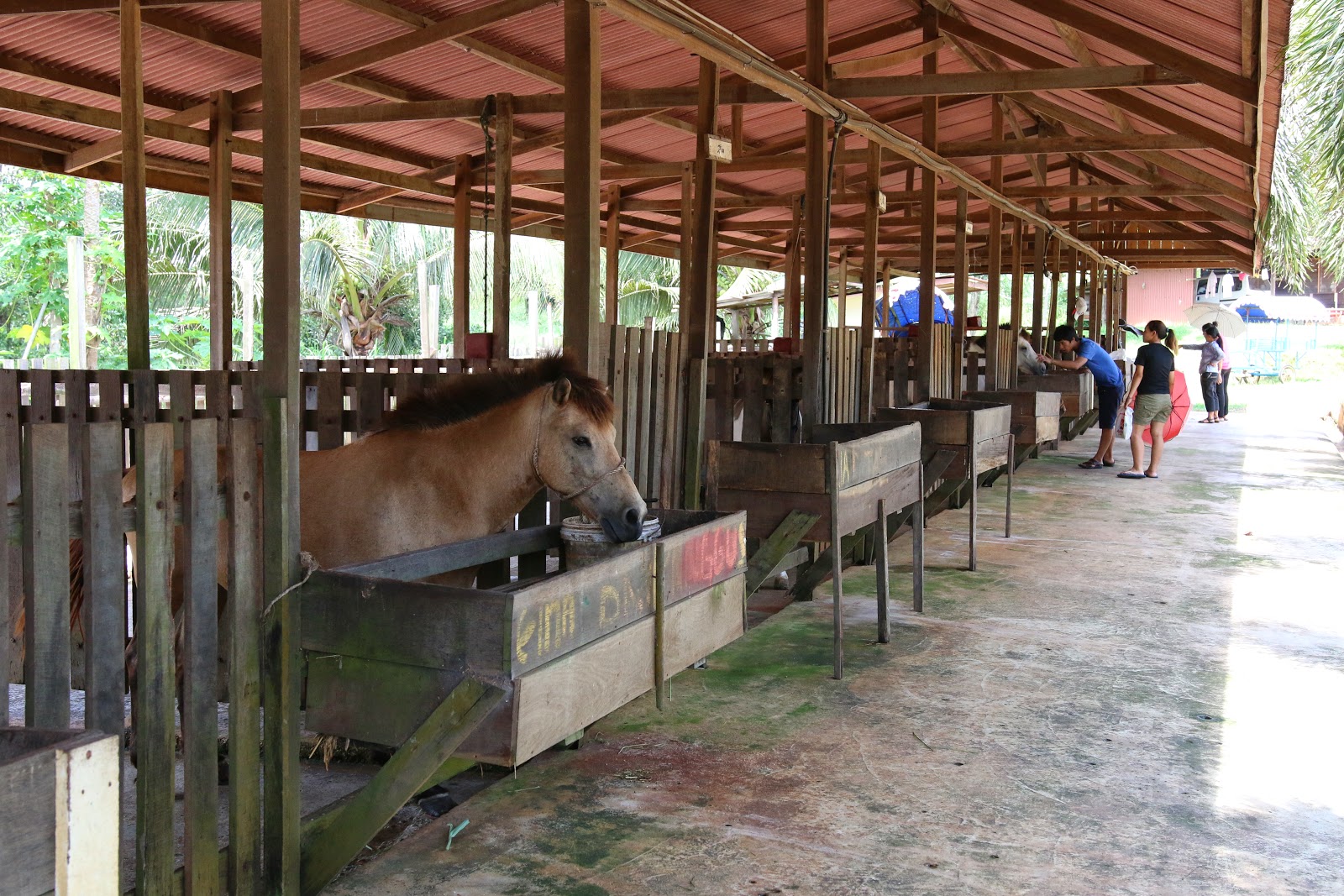 UK Farm Agro Resort, Kluang