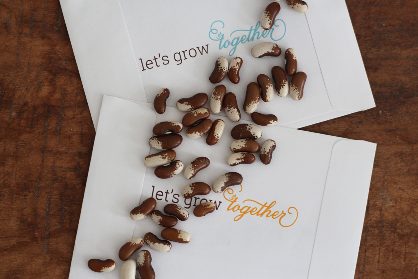 66 Square Feet (Plus): It's summer - time for beans and basil