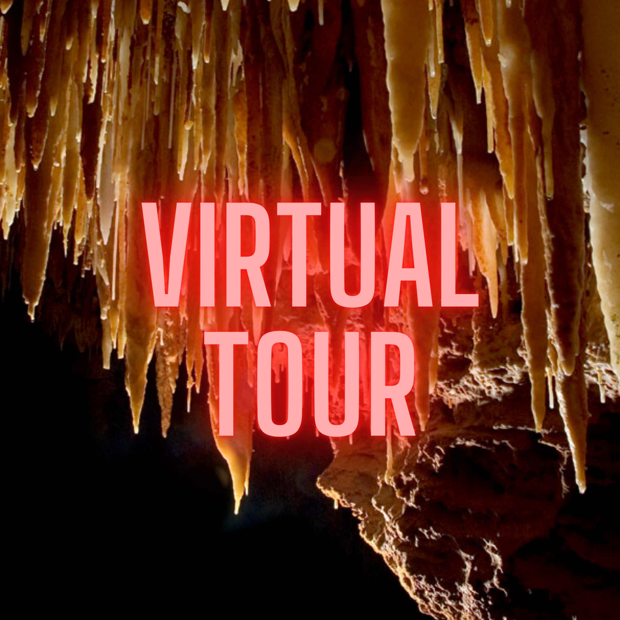 Take a Look Inside Bridal Cave on a Virtual Tour!