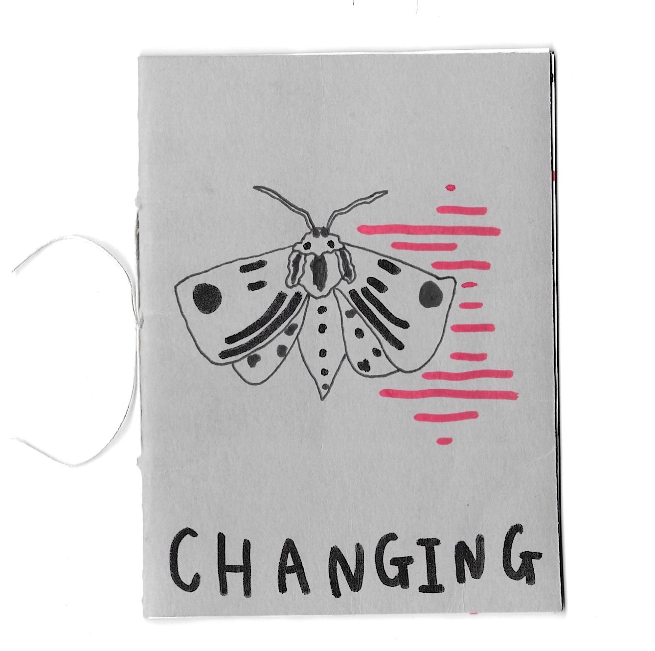 Visual Narrative Developmental Work