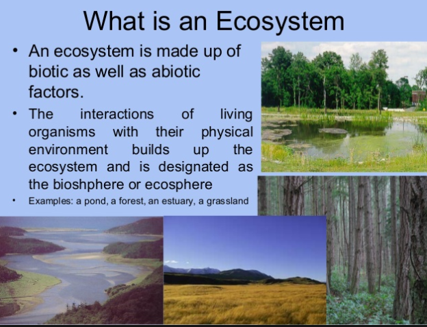 Arts & Crafts, English and Science Blog: Unit 6: Ecosystems. Science ...