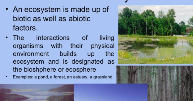 Arts & Crafts, English and Science Blog: Unit 6: Ecosystems. Science ...