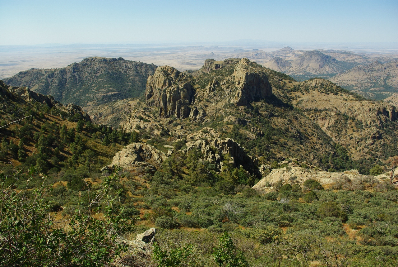 Here and There//Texas/New Mexico: Mt Livermore, Davis Mountains: Texas' #2