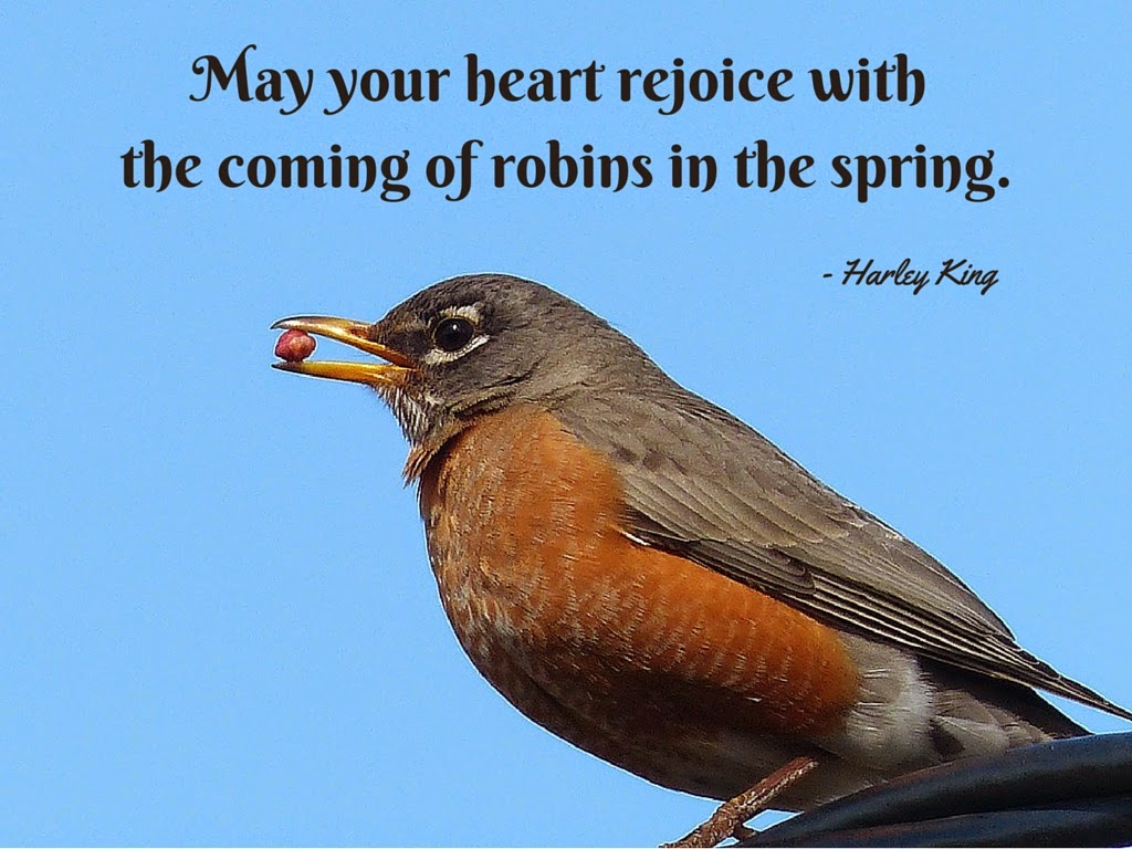 Monday Morning Motivation: Harley King