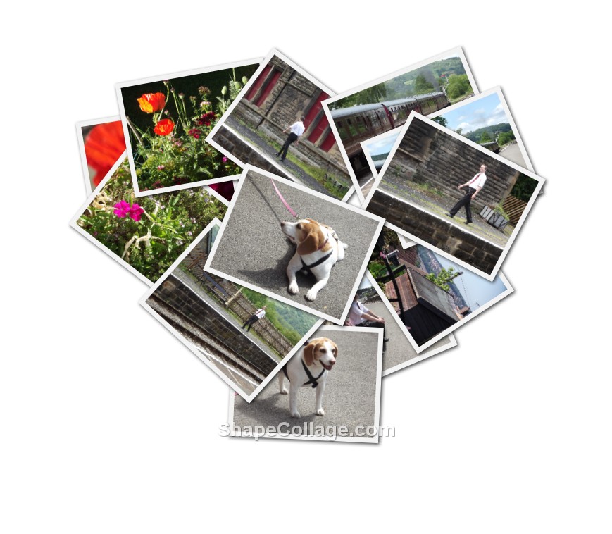 Kids Get Crafty: Shape Collage - Automatic Photo Collage Maker