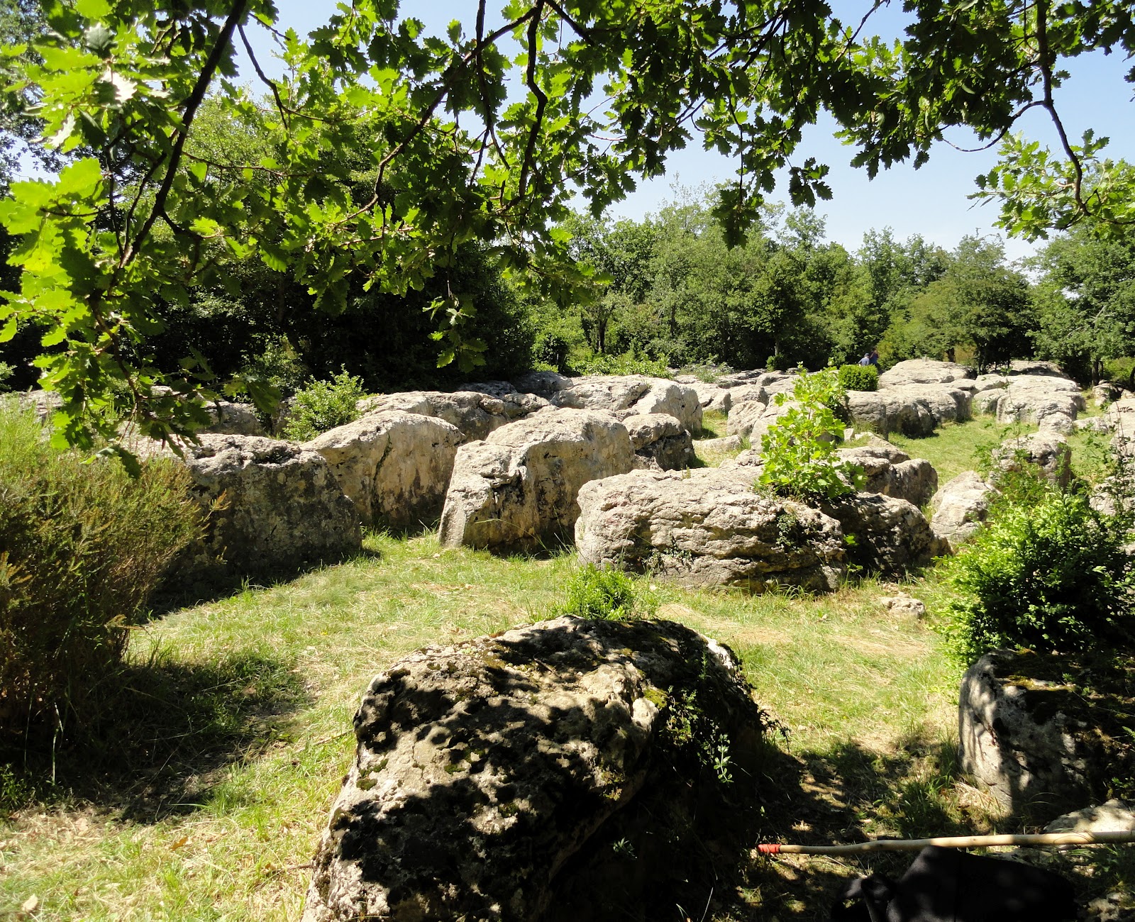 Haute Vallée de l'Aude en photo: Nébias
