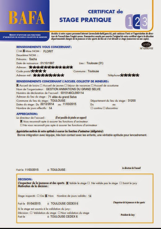 exemple appréciation stage pratique bafa