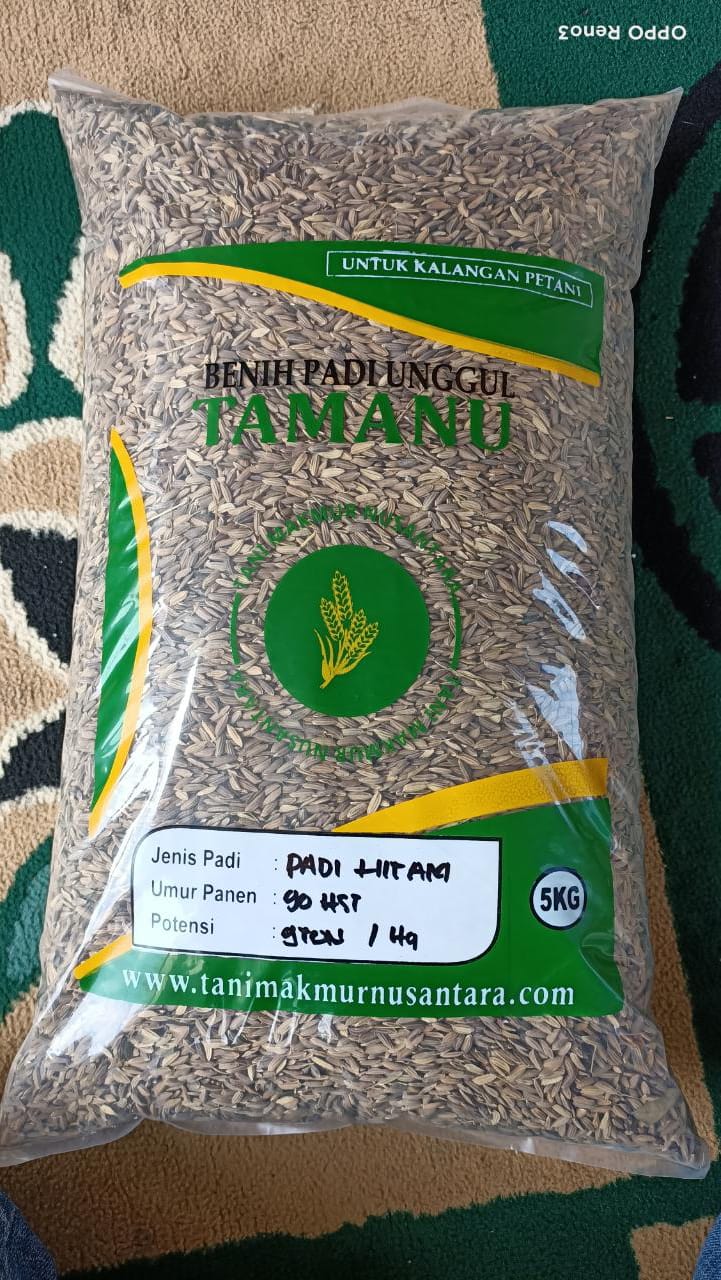 Benih Padi Hitam / Beras Hitam Organik - Tani Makmur Nusantara