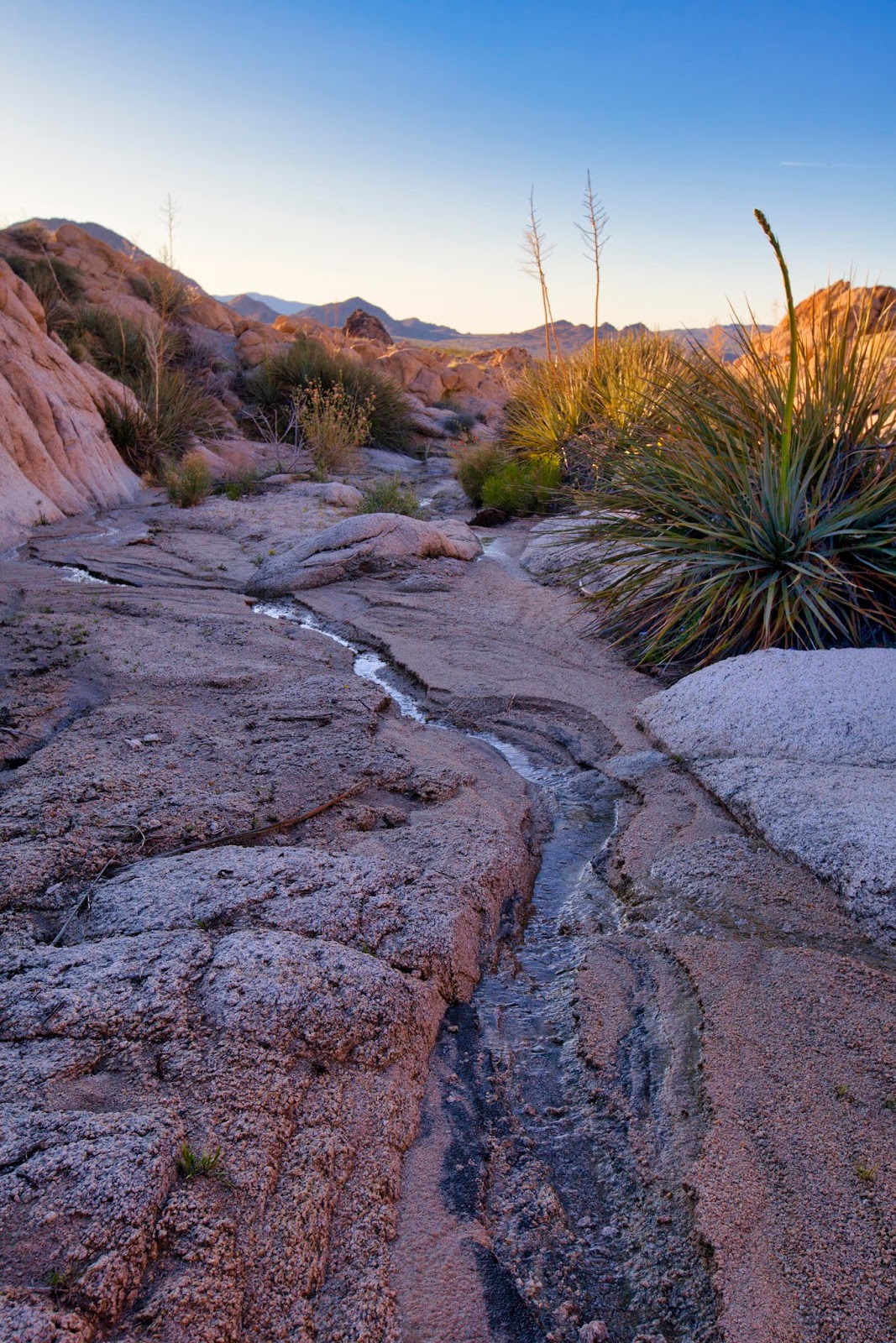 Spare Parts and Pics: Cleghorn Lakes Arches