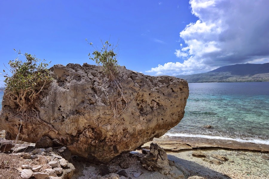 Ternate ada di Alor! ~ Life Is An Absurd Journey