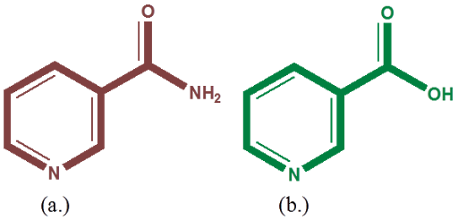 Chocogreentea: Niacinamide dan Kesehatan Kulit (Part 1)