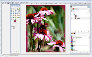 GNU Image Manipulation Program (GIMP)