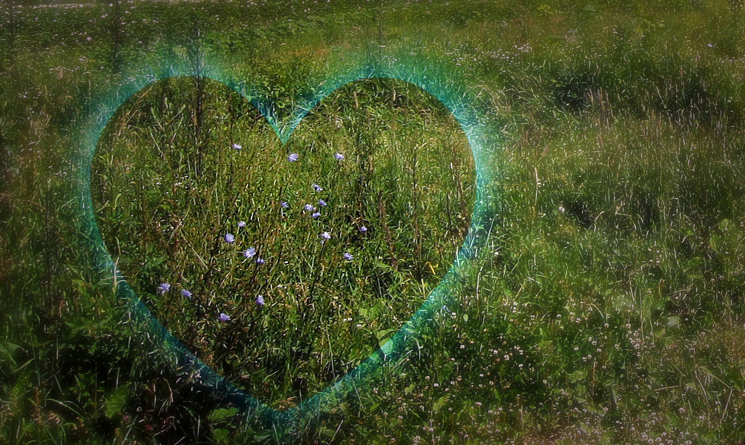 Allsparklesofnow: Space Heart Grass