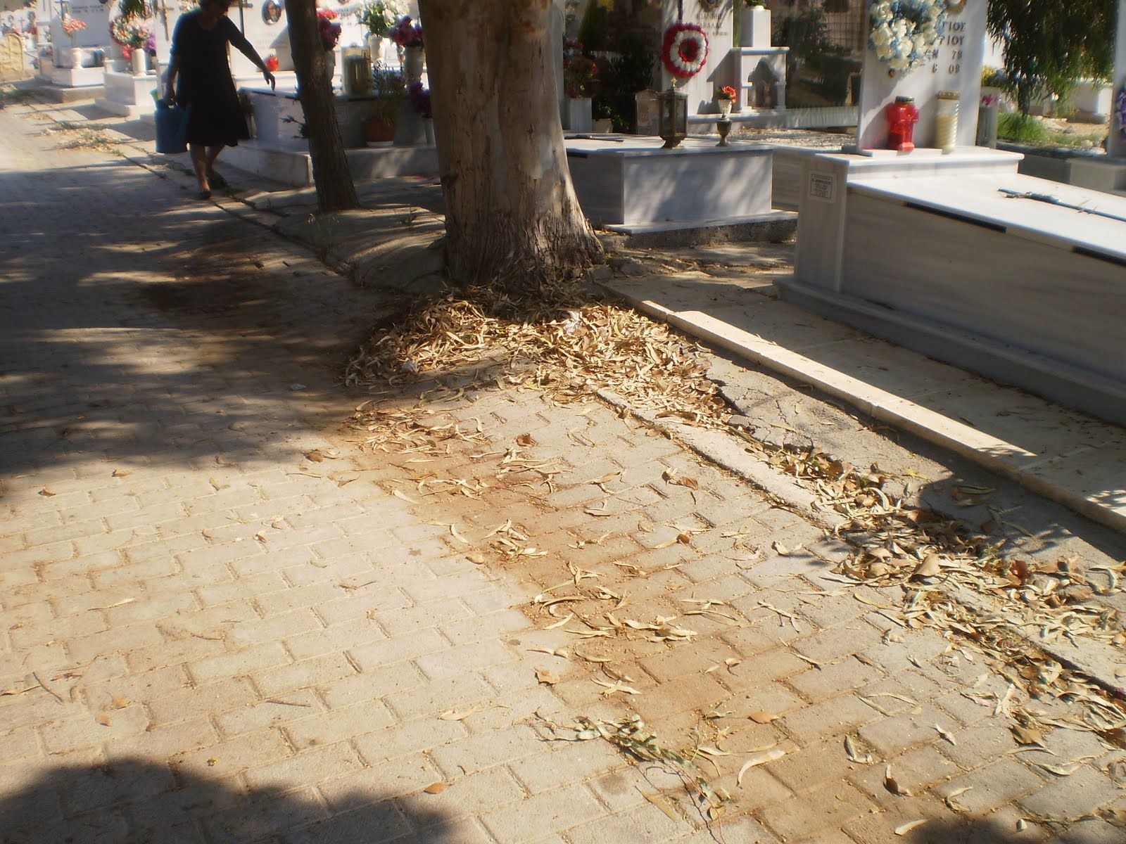 ΚΑΙ ΝΕΚΡΟΥΣ ΑΝΑΣΤΑΙΝΕΙ....: ΚΑΙ ΝΕΚΡΟΥΣ ΑΝΑΣΤΑΙΝΕΙ... ΤΟ ΝΕΚΡΟΤΑΦΕΙΟ ...