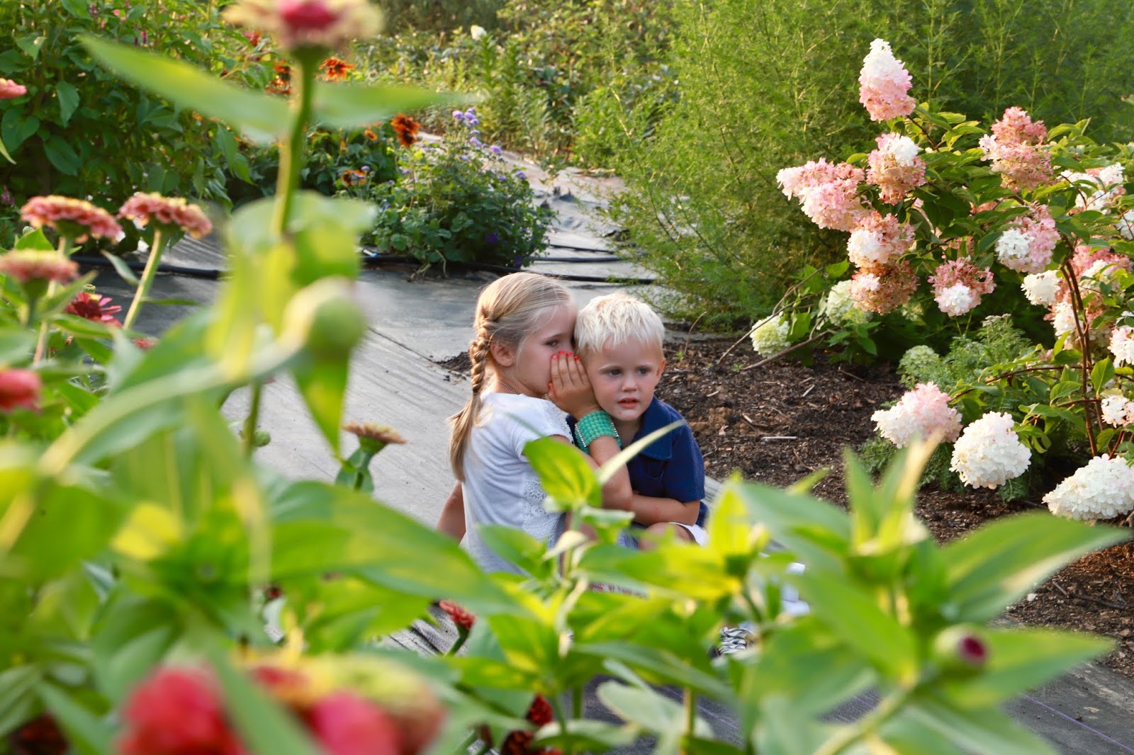 Real Life: Summer Bliss.