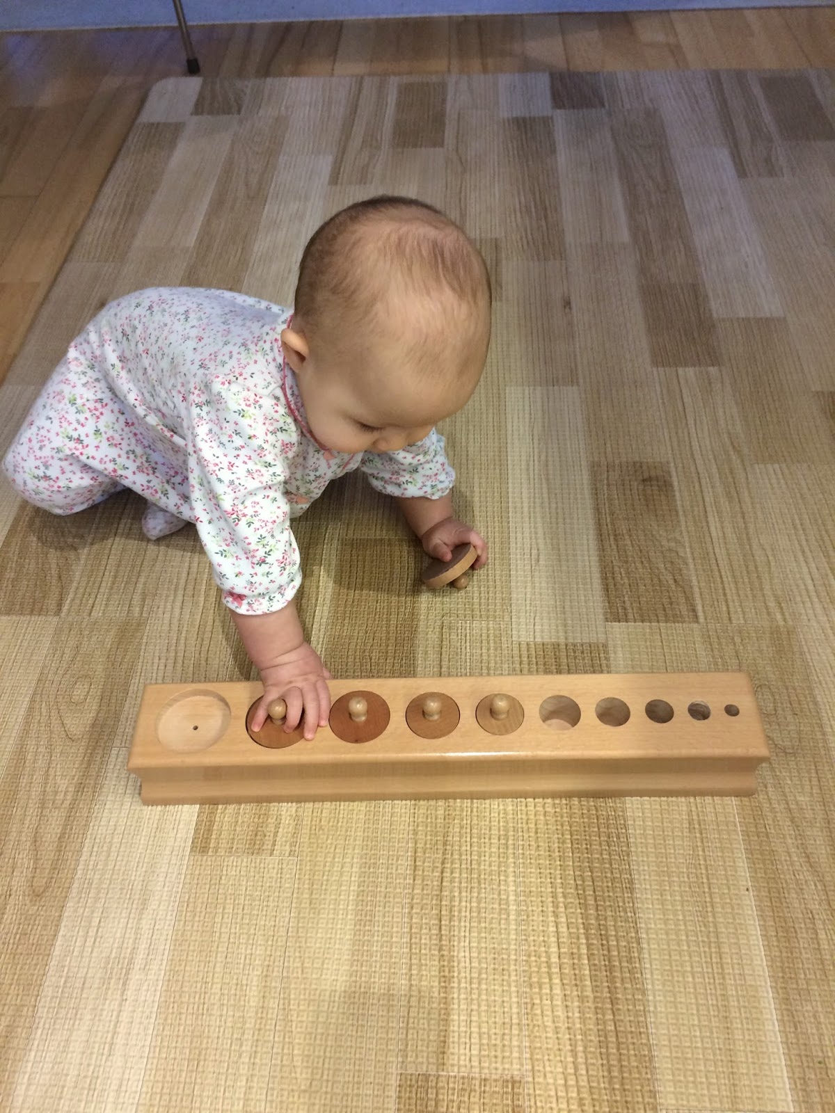 Family FECS: Toy of the Day: Montessori Knobbed Cylinder - Set 2 (7M2D)