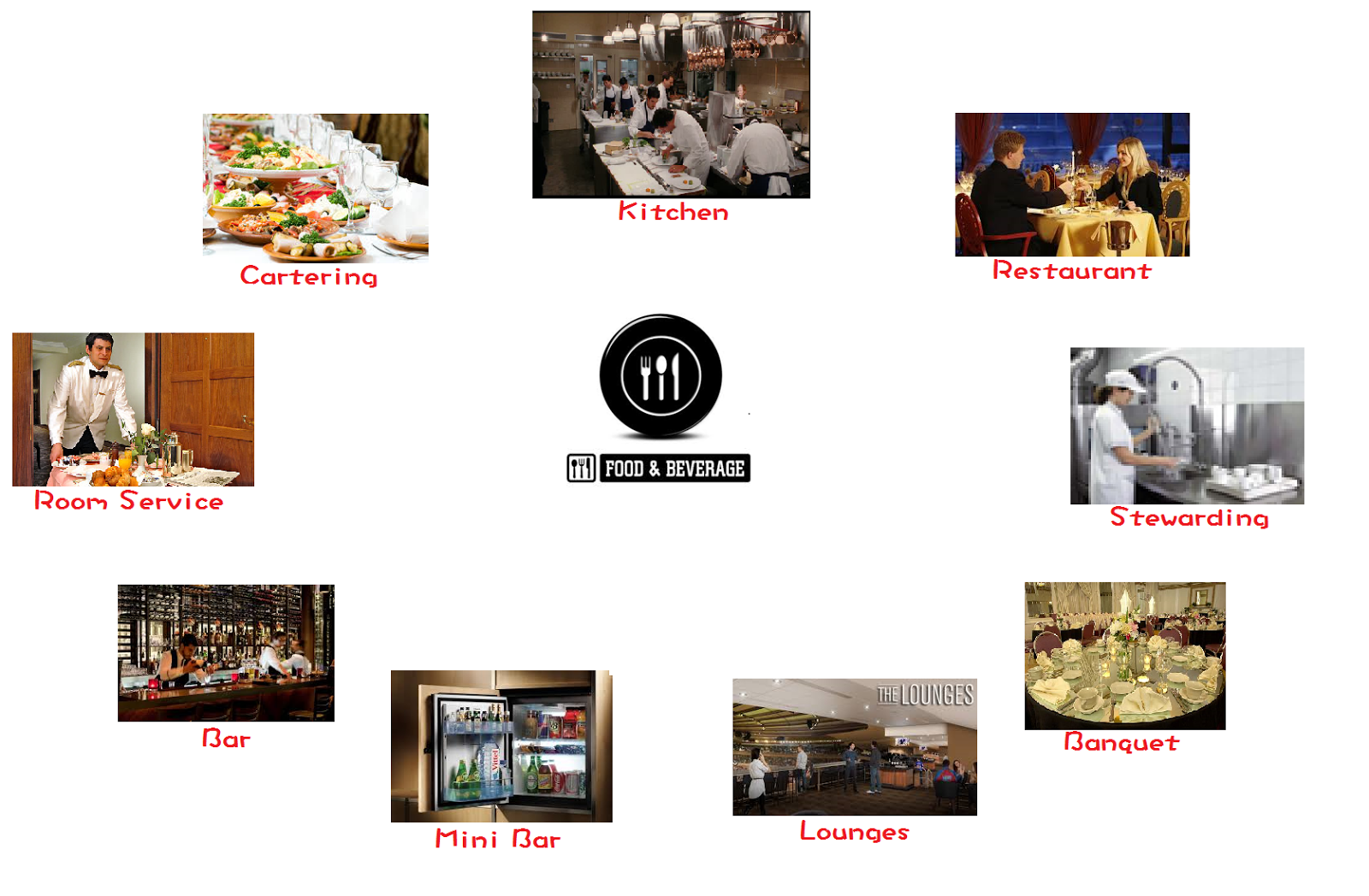 Hospitality Management: F&B Operations - the functions and ...