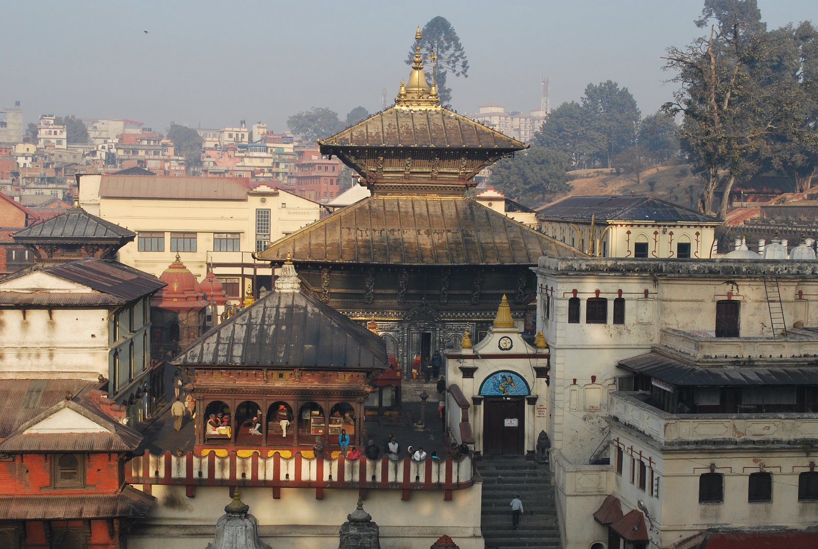 socalgalopenwallet: The holy temple