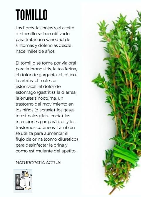 Tomillo