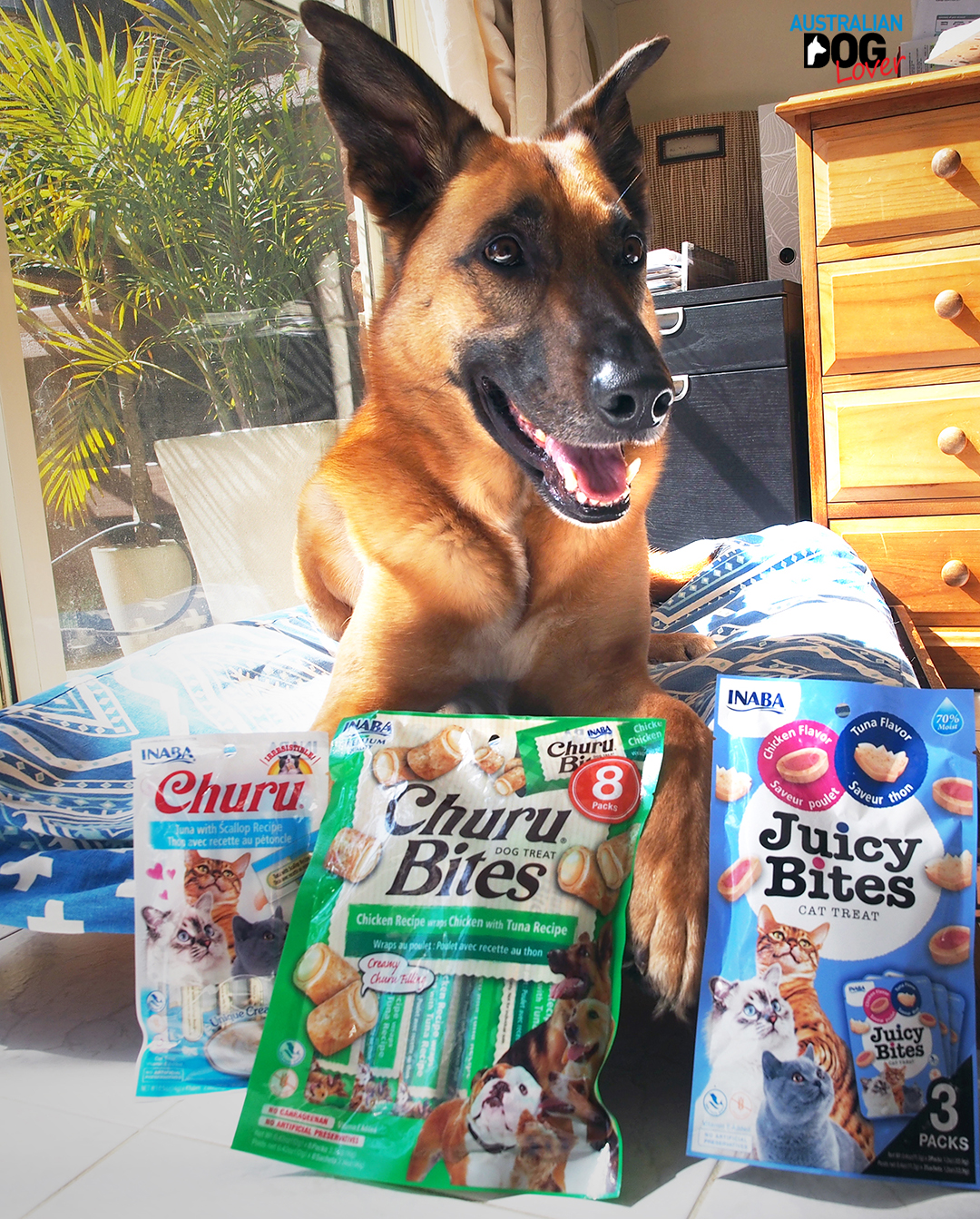 INABA Dog & Cat Treats available in Australia | Australian Dog Lover