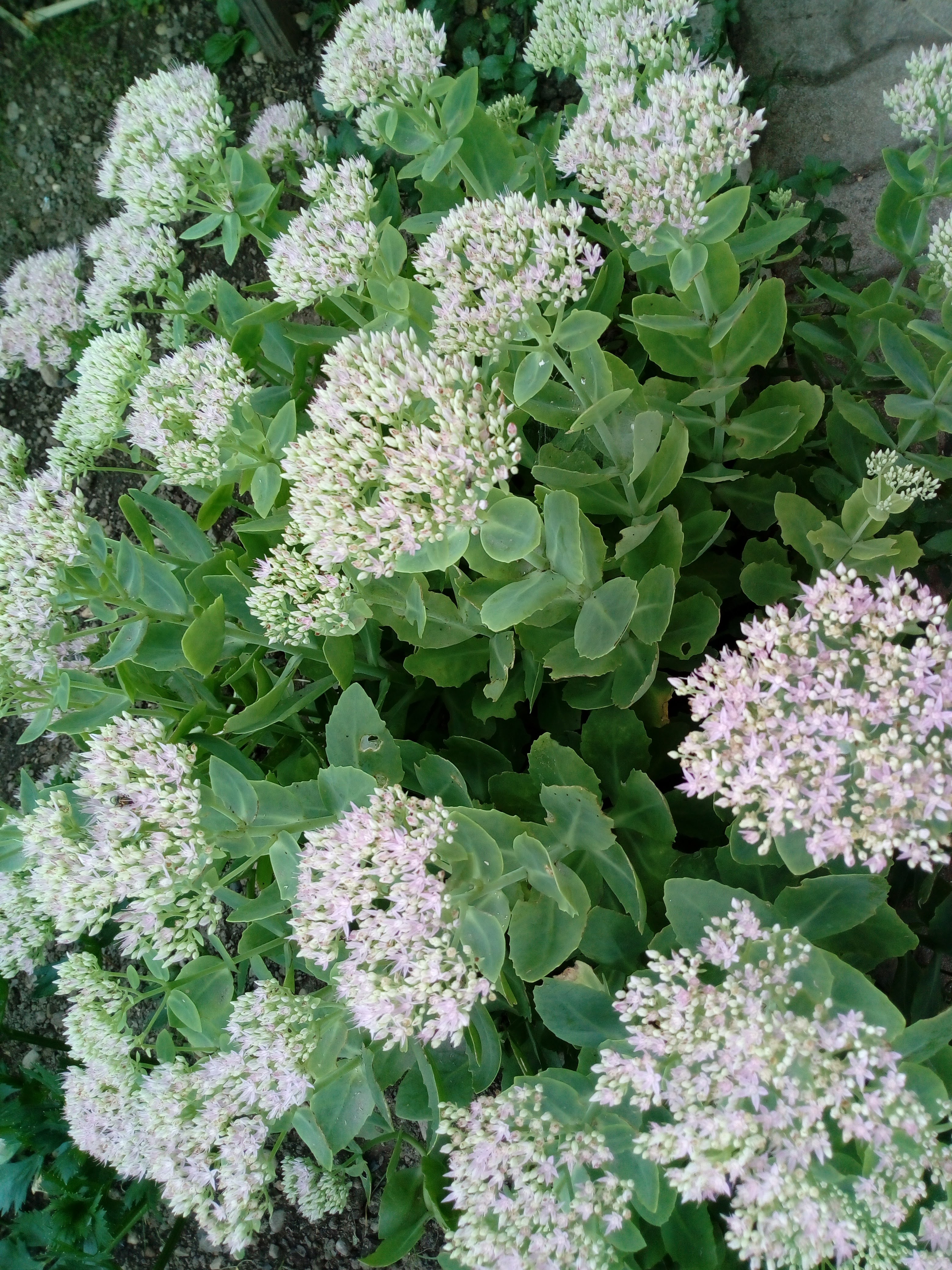 moj čas, moj šport, moje ustvarjanje: Adijo poletje