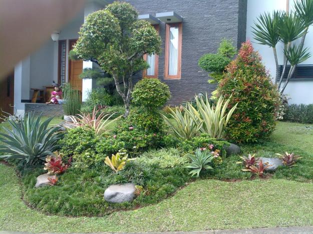 Tukang Taman- Taman dan kolam minimalis - suplier tanaman hias: TAMAN ...