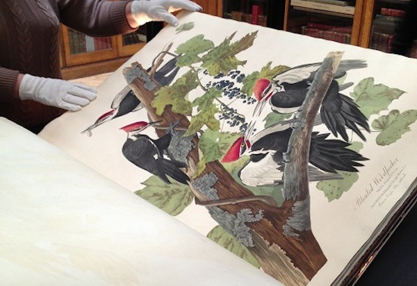 5 Of The Most Expensive Books Ever Sold