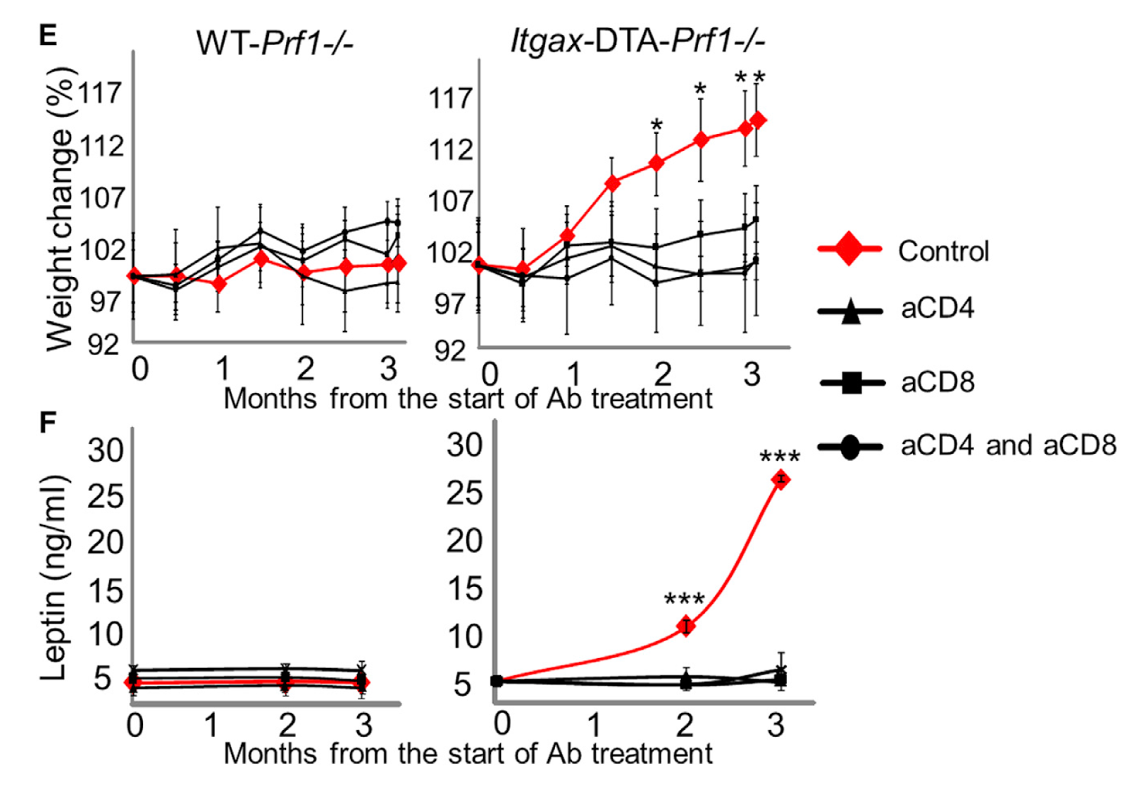 Perforin deficiency in dendritic cells leads to overweight and ...