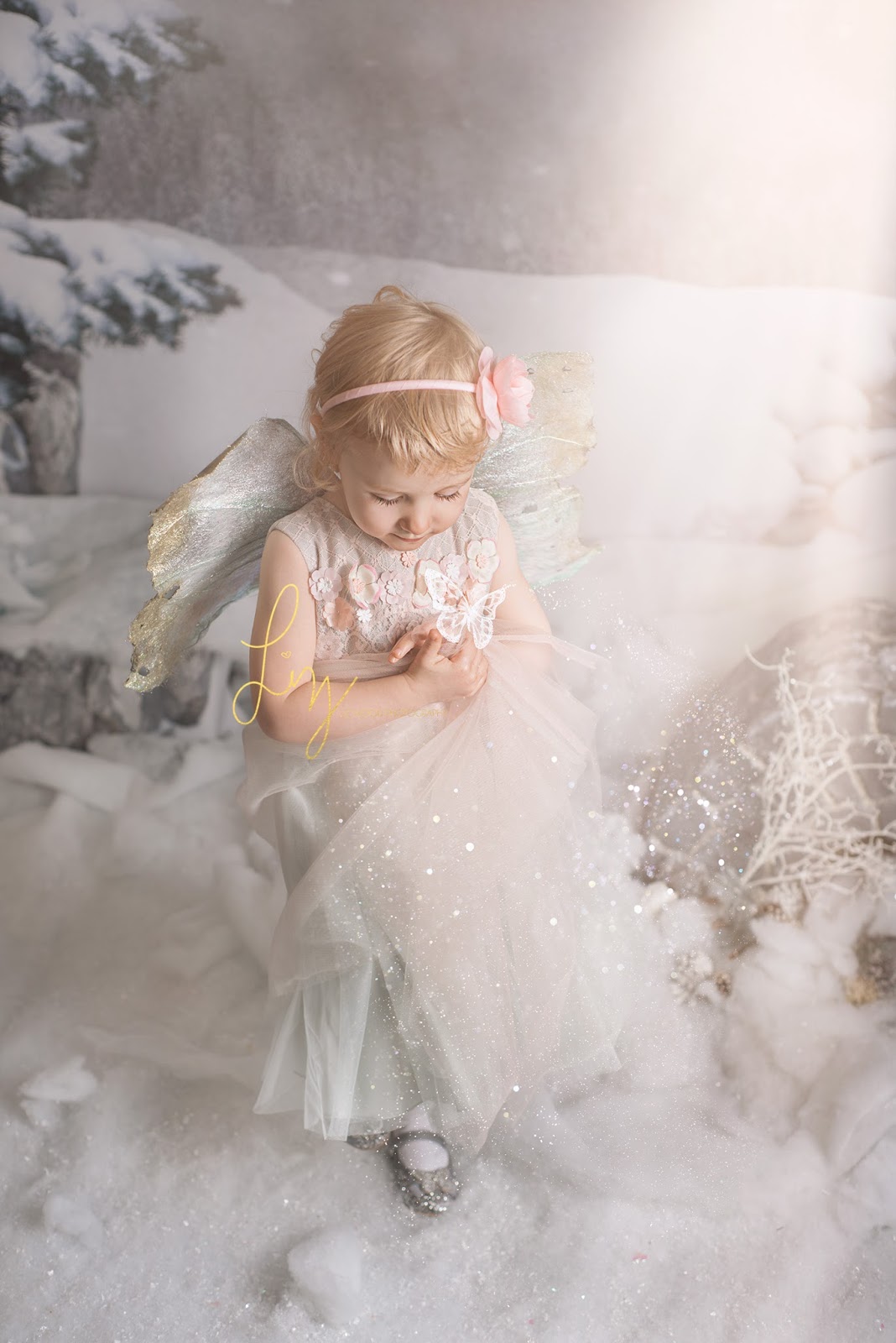 Magical Fairy Photoshoots in Suffolk and Essex - little Elves, Fairies ...