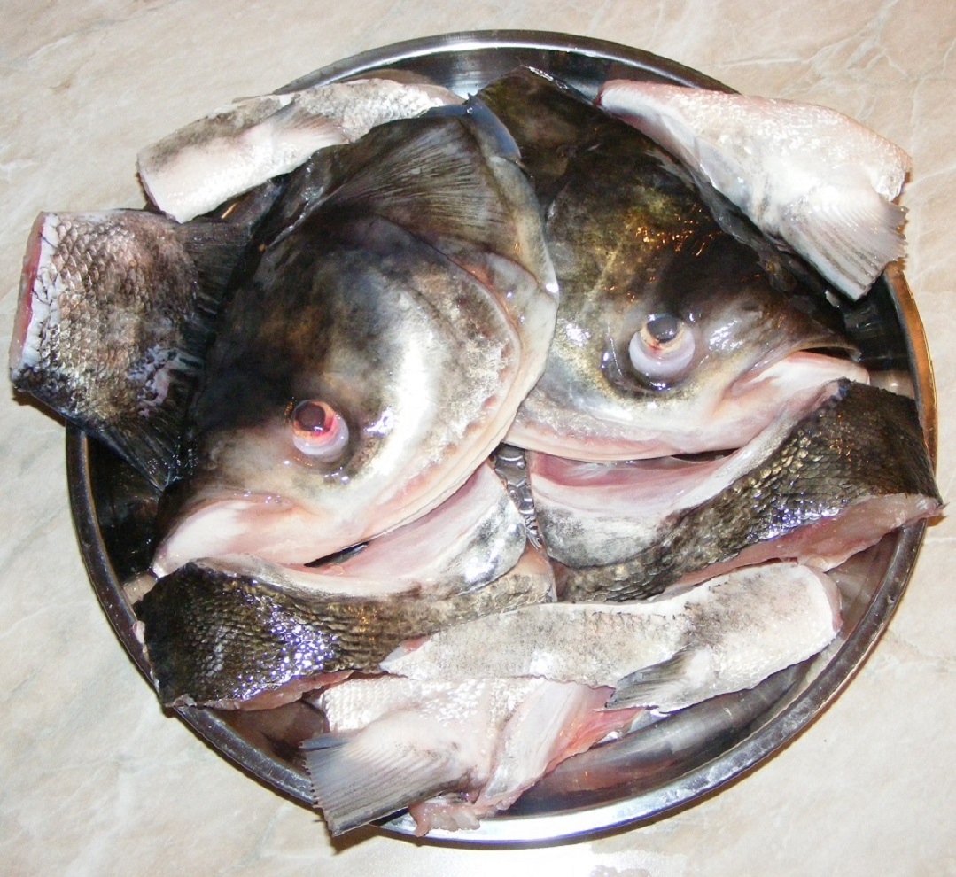 Retete de peste si Preparate din peste | Preparatedevis.ro