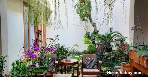 6 Kreasi Taman Bunga Rumah Minimalis Sedehana Terbaru untuk Hunian ...