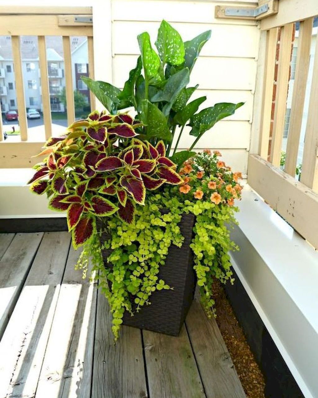 30+ #Awesome #Container #Garden #Flowers #Ideas #For #Beginner - 30 ...