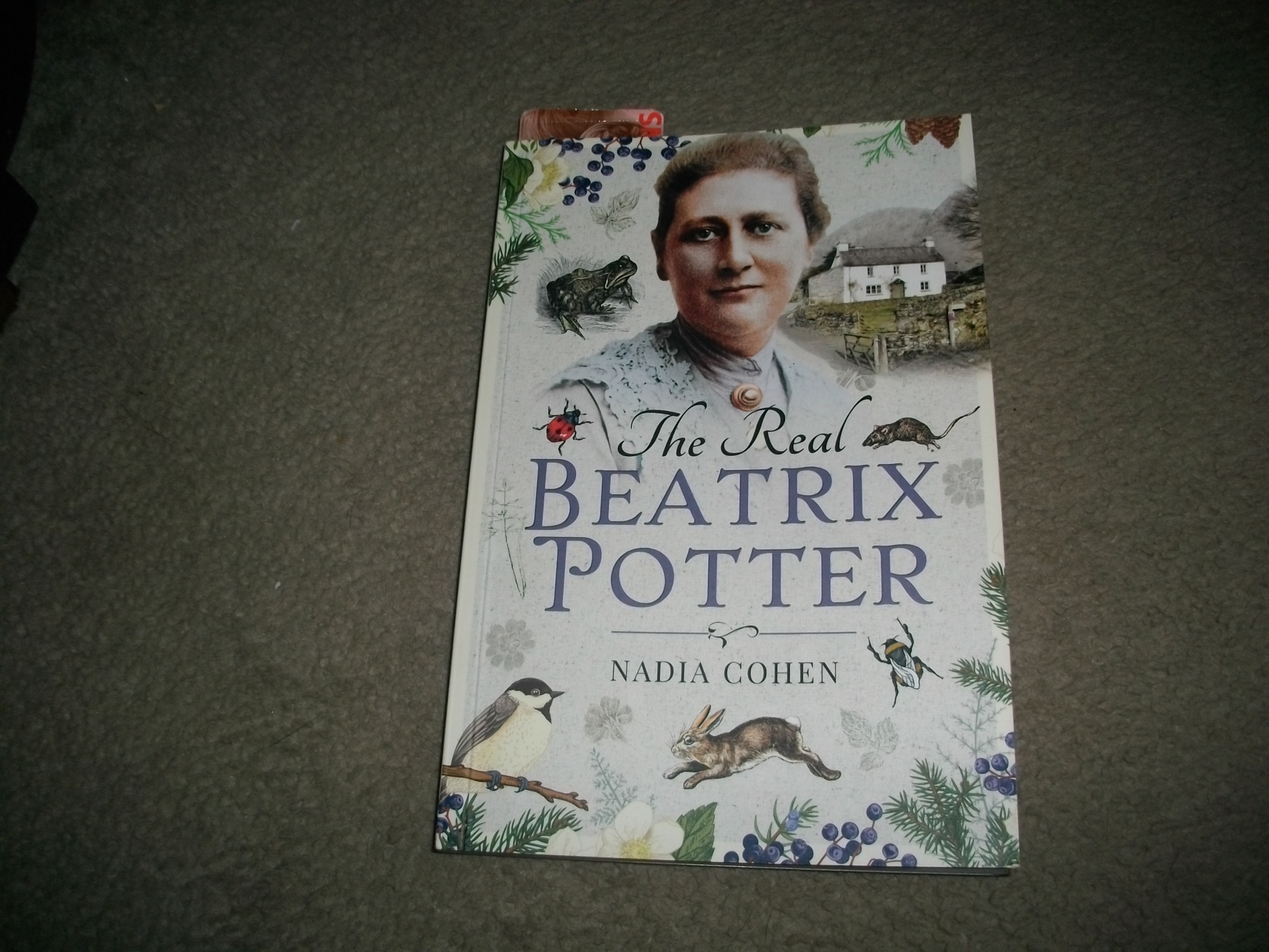 Debbie's Reading Corner: The Real Beatrix Potter Book Review
