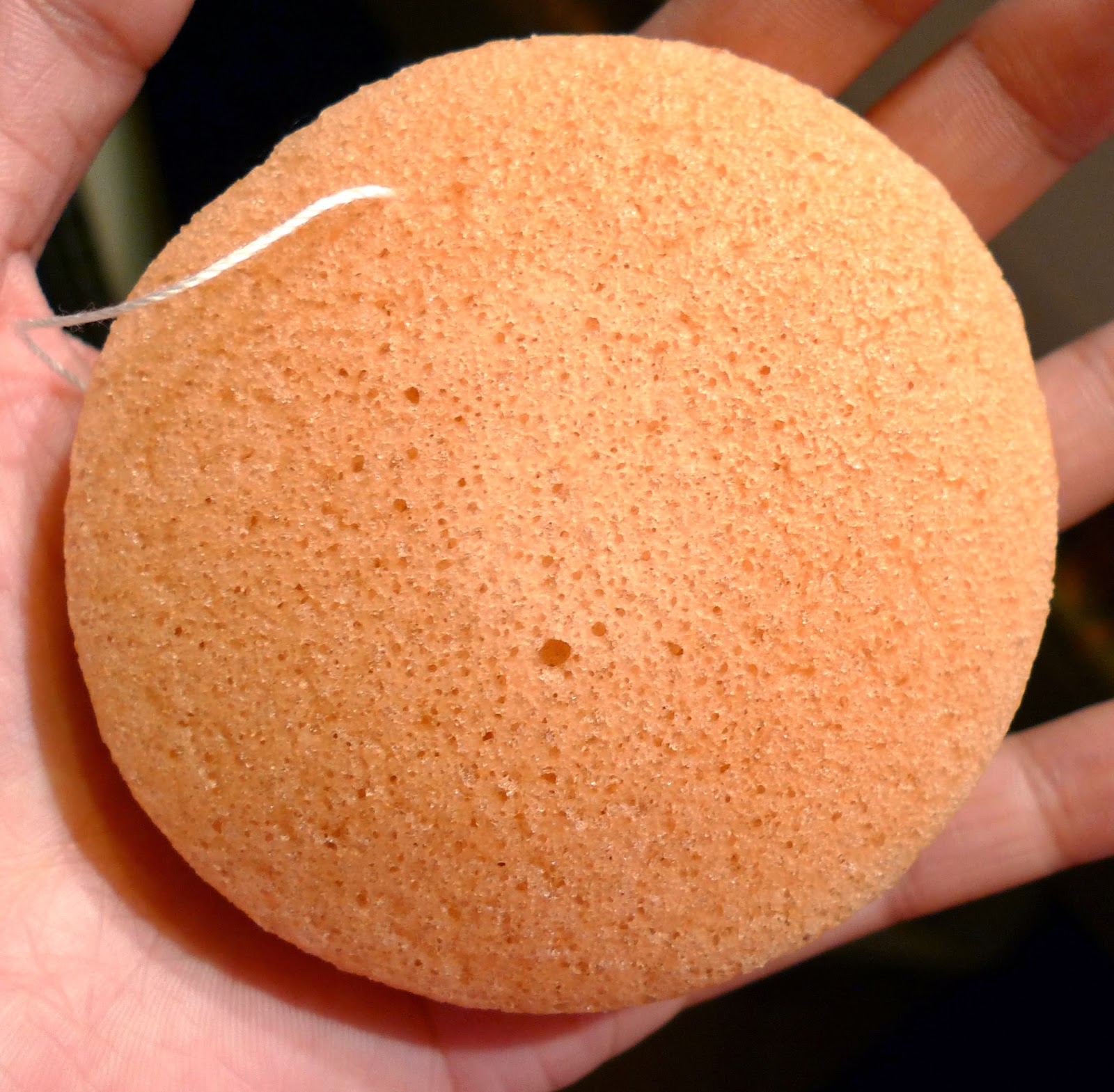 Reven My Konjac Jelly Face Sponge Review