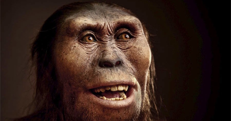 EVOLUCION DEL HOMBRE: Australophitecus africanus.