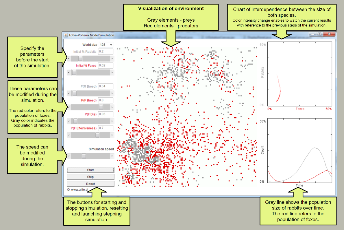 Dzielimy się naszym doświadczeniem - Teachers Share Experience
