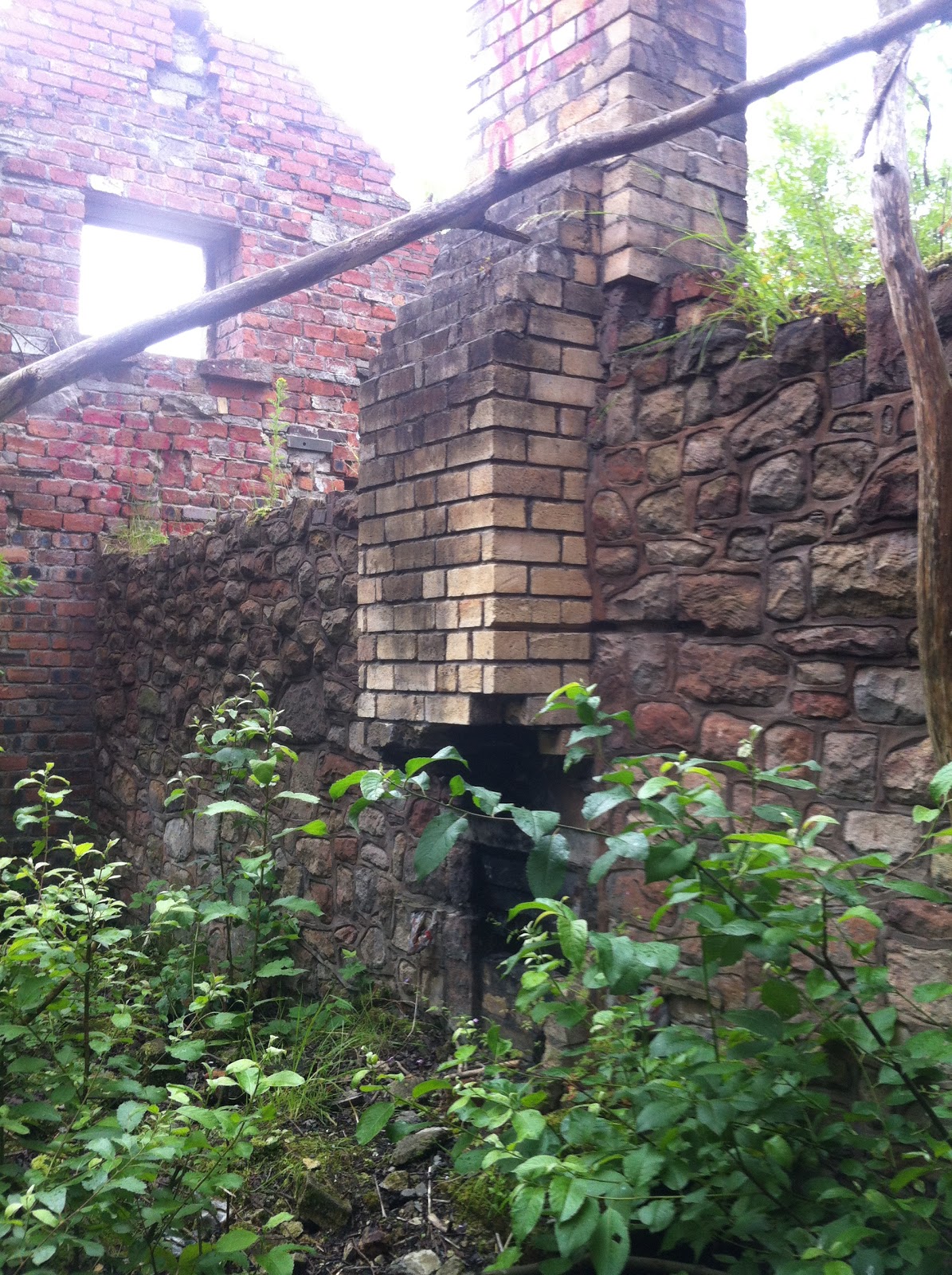 Visions of a Madman: In Ruins: Abandoned Houses in Carmyle
