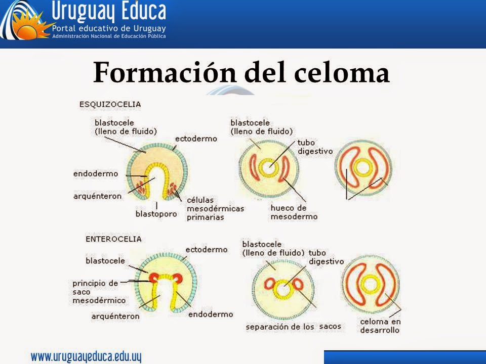Javier Arturo Benitez Moreno seccion 102: Resumen semana 1