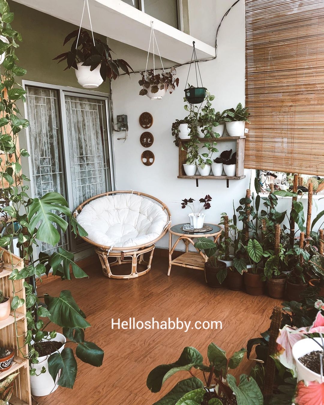 Inspirasi Bunga Gantung di Teras Rumah yang Cantik dan Bisa Anda Tiru ...