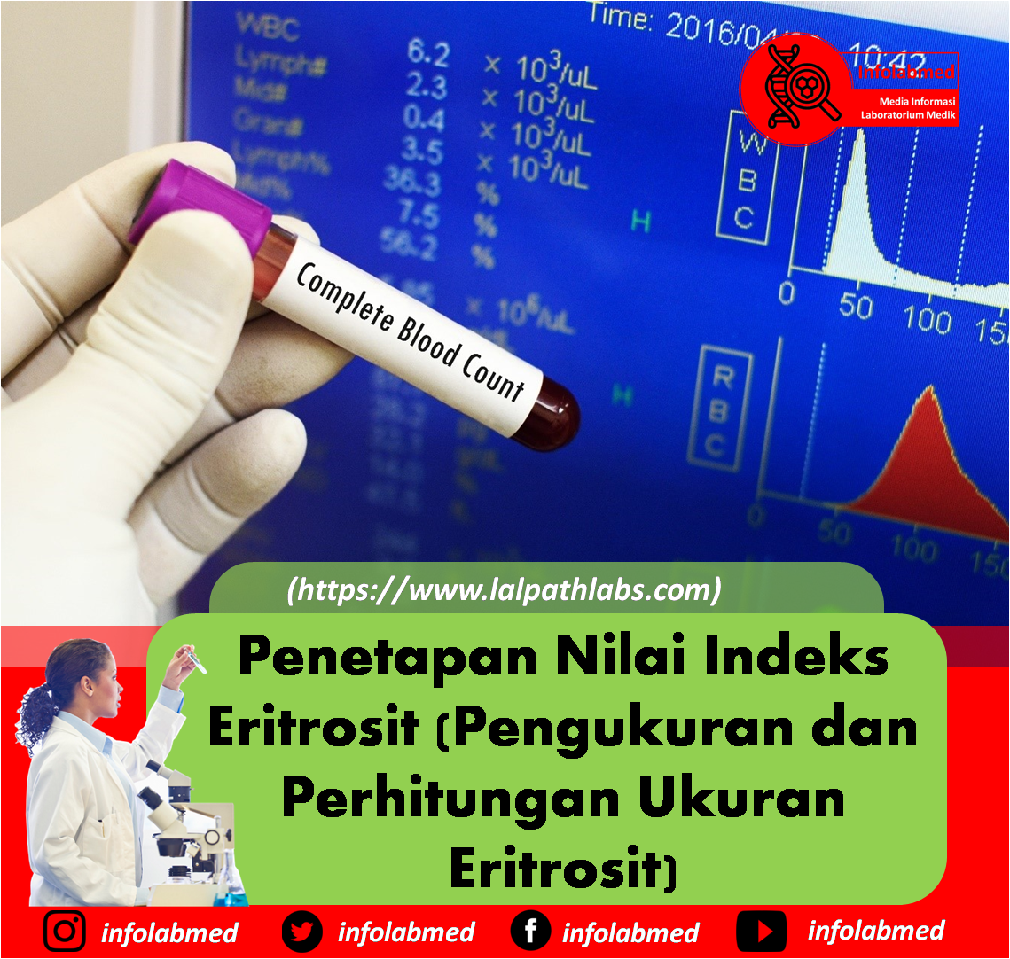Penetapan Nilai Indeks Eritrosit (Pengukuran dan Perhitungan Ukuran ...