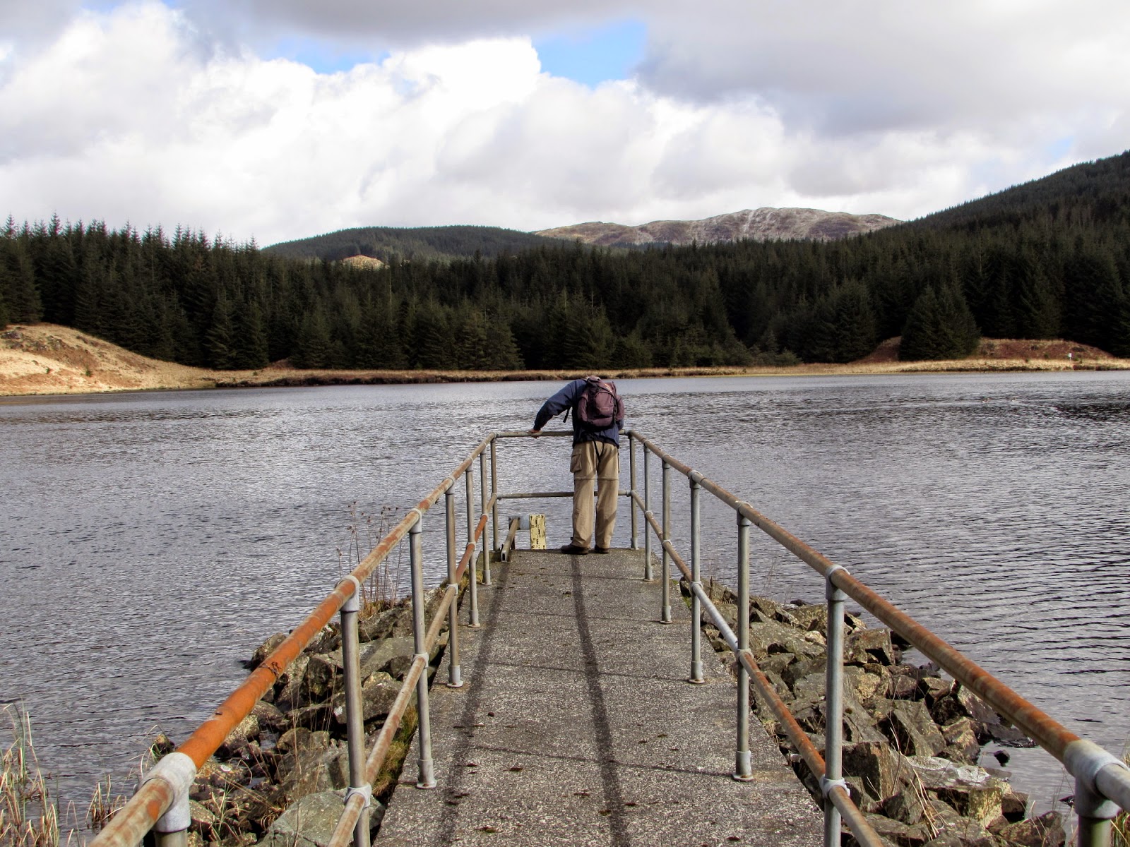 The Glebe Blog: Wigtownshire Ramblers Two Walks - Wood of Cree to Loch ...