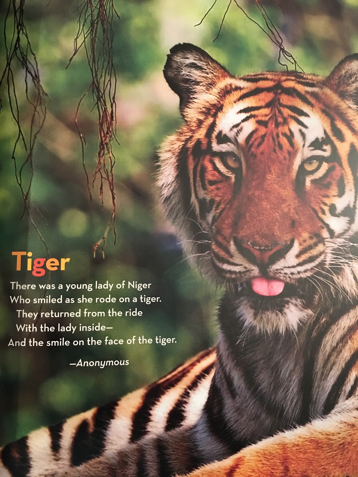 Live Your Poem...: Tiger Poems and the Problem with Reviewing Poetry Books