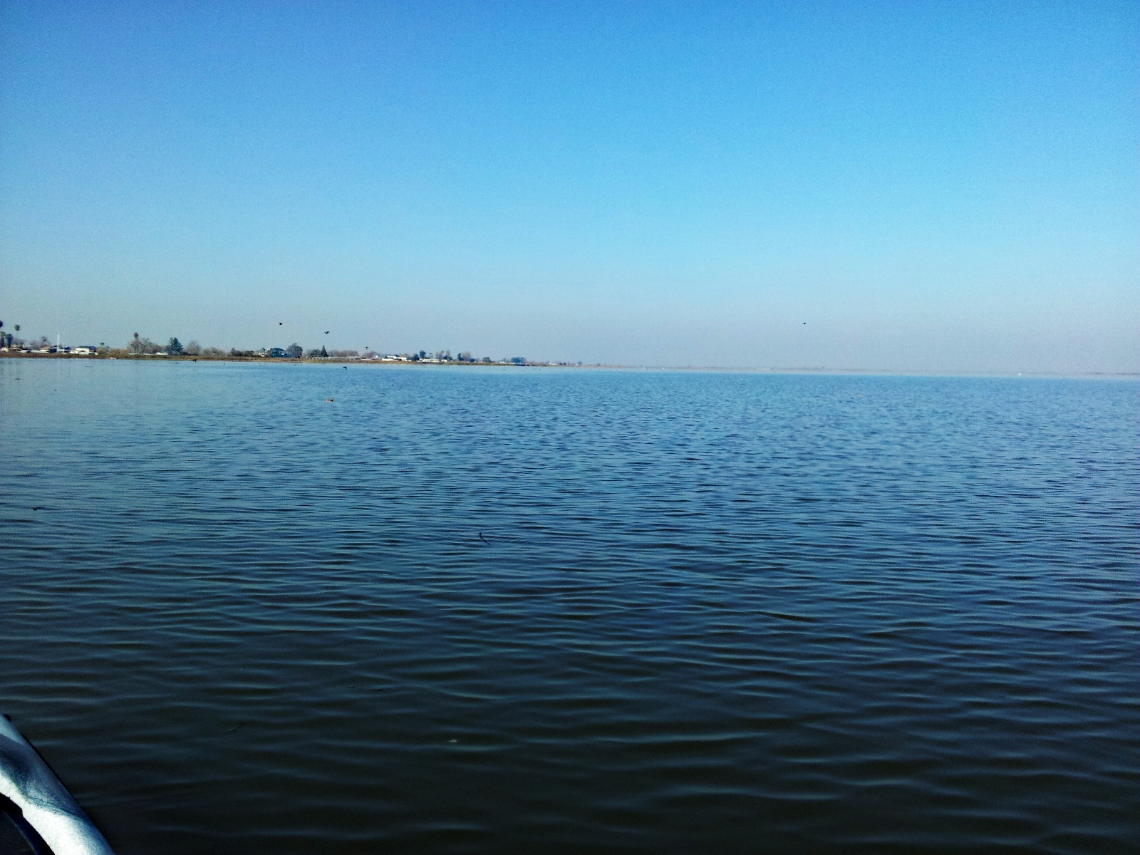 Kayaking the California Delta: Franks Tract